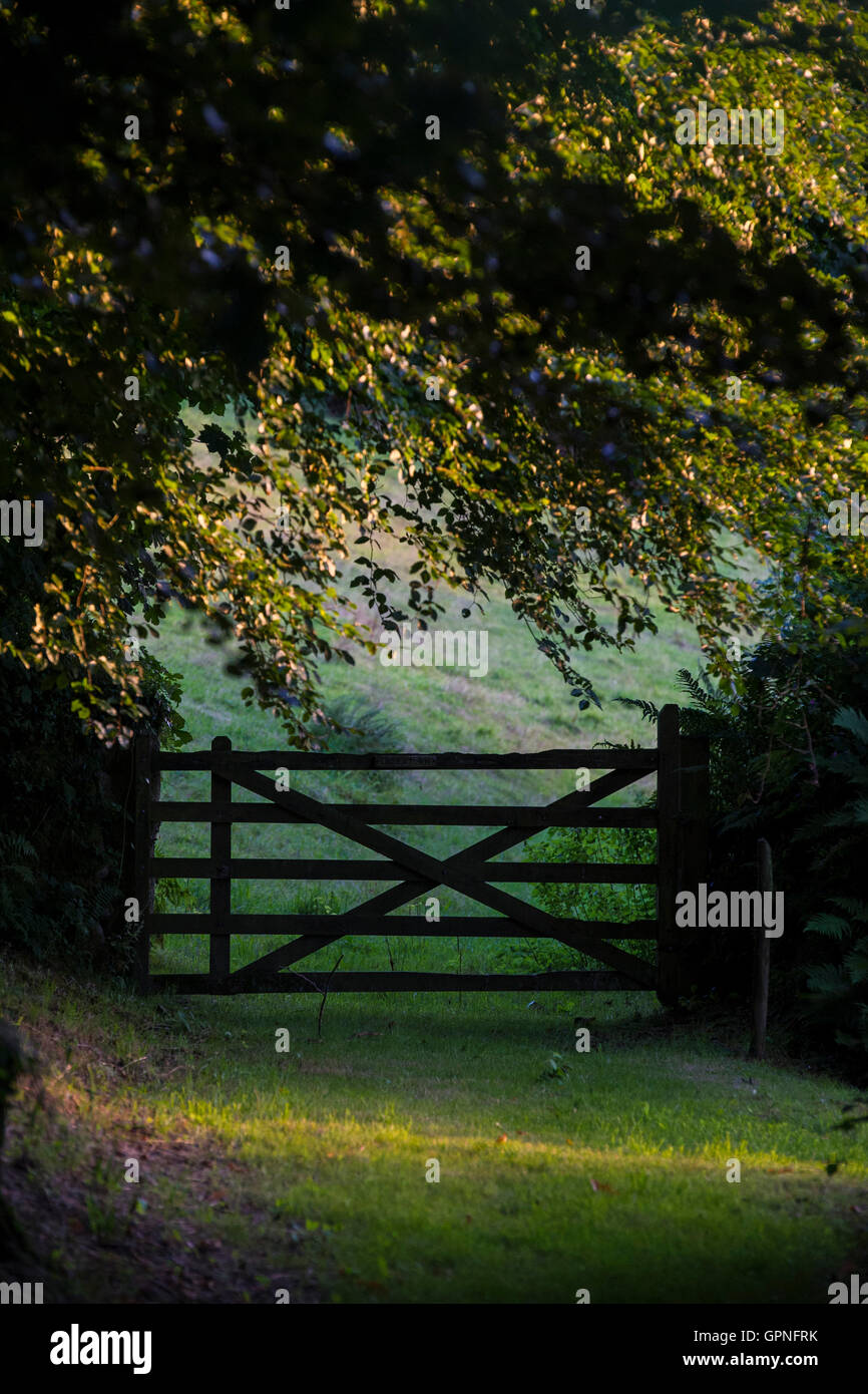 A five bar gate in Devon countryside Stock Photo - Alamy