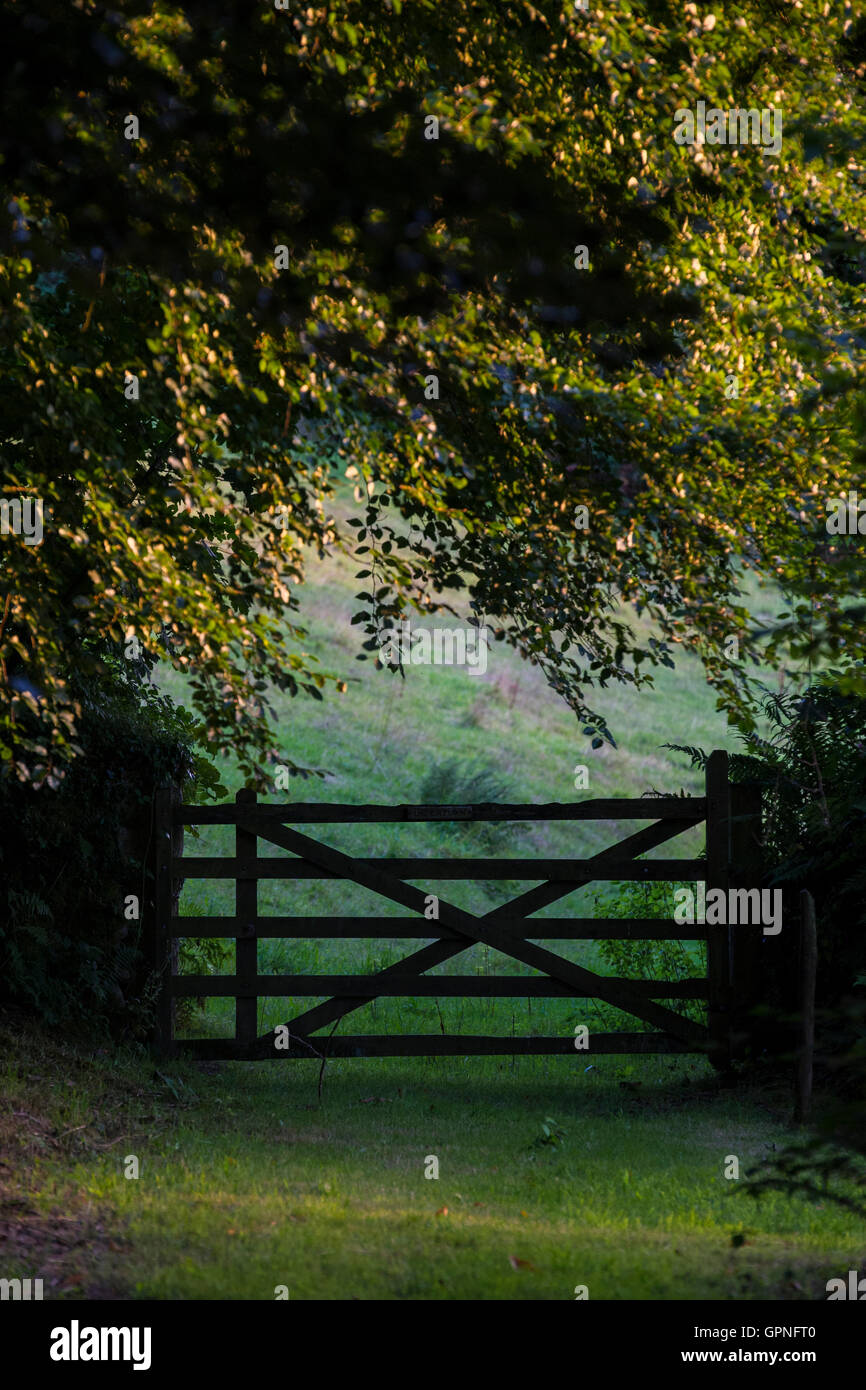 A five bar gate in Devon countryside Stock Photo - Alamy