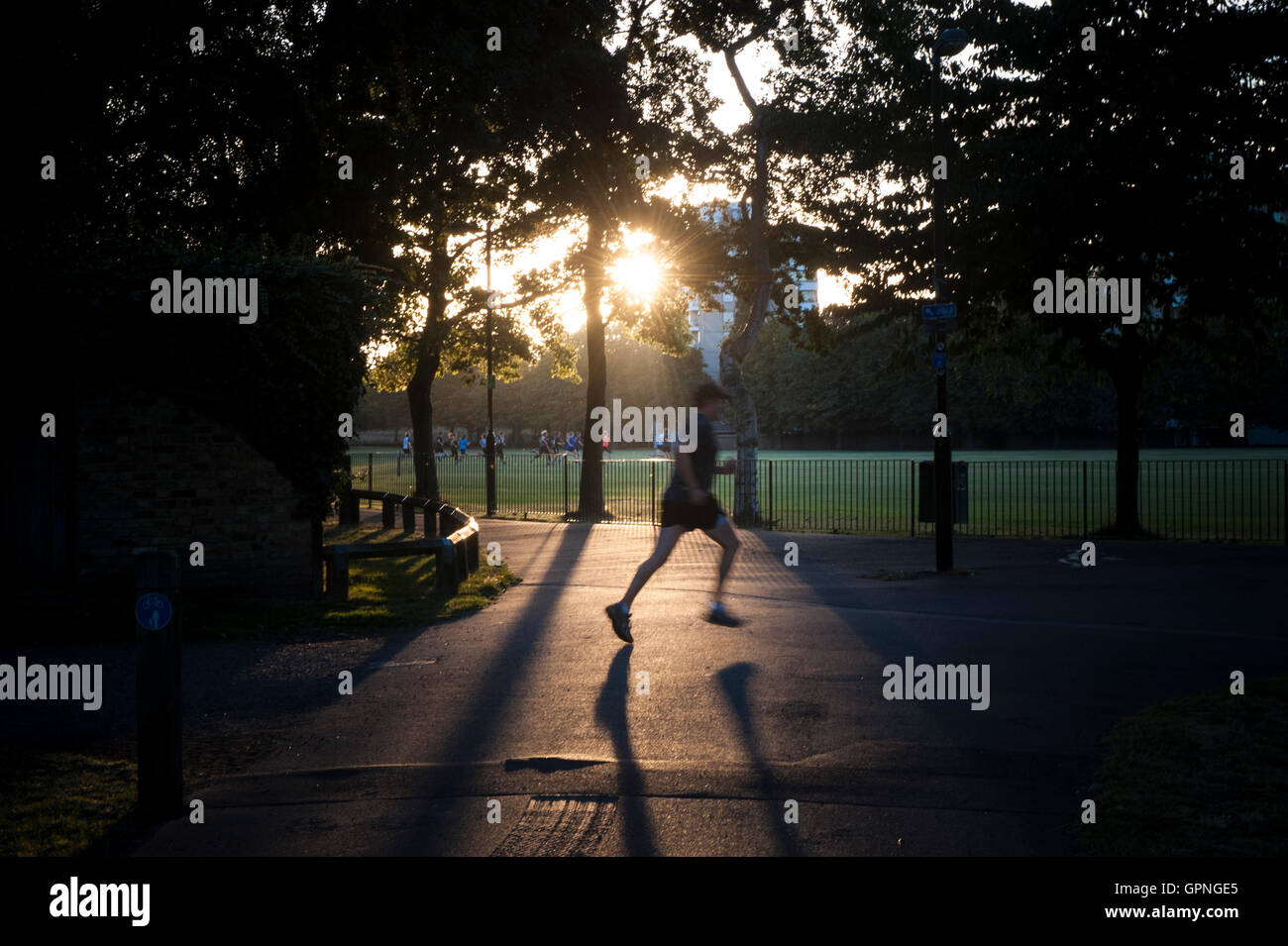 Jogging morning sun hi-res stock photography and images - Alamy
