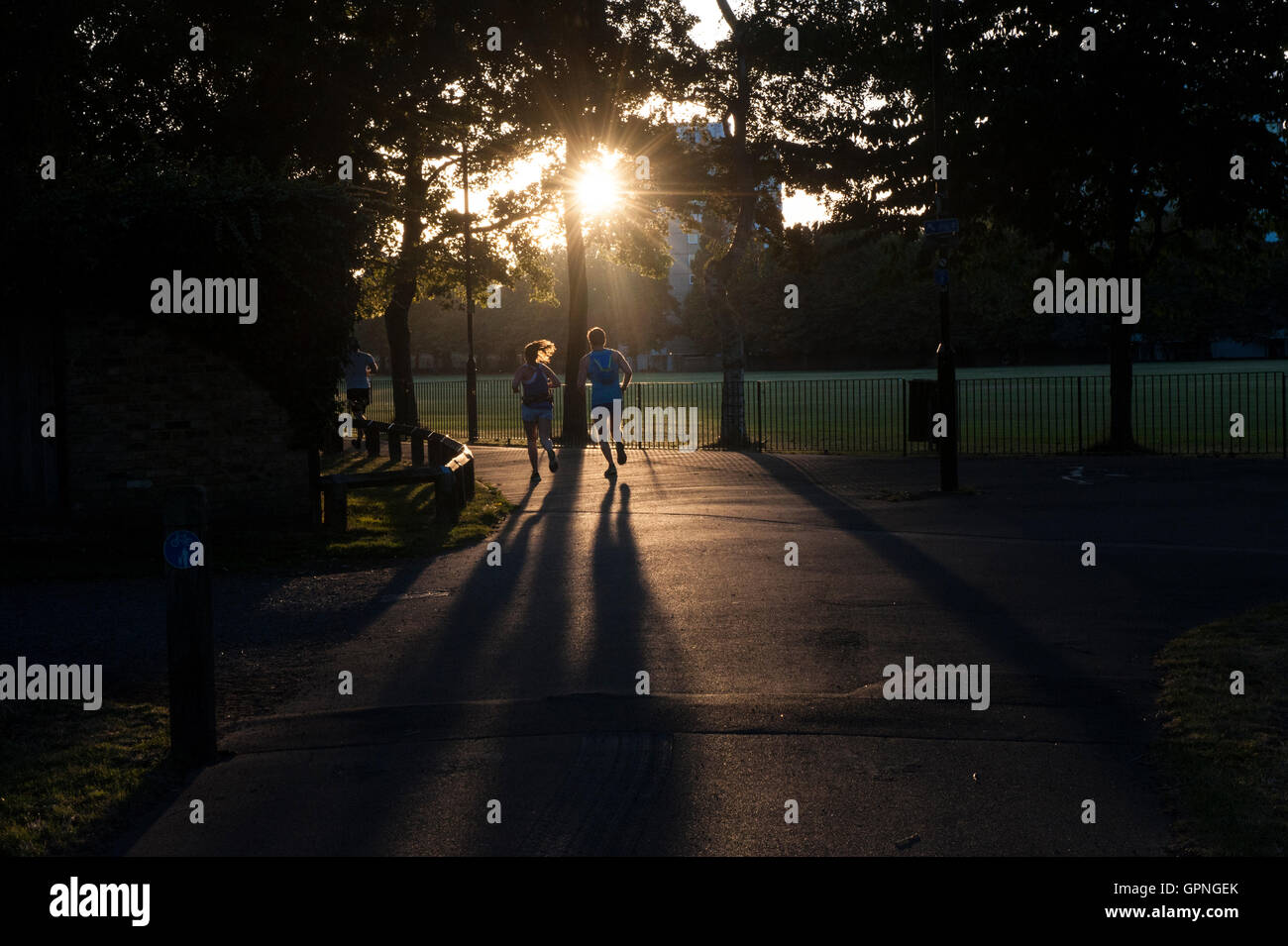 Jogging morning sun hi-res stock photography and images - Alamy