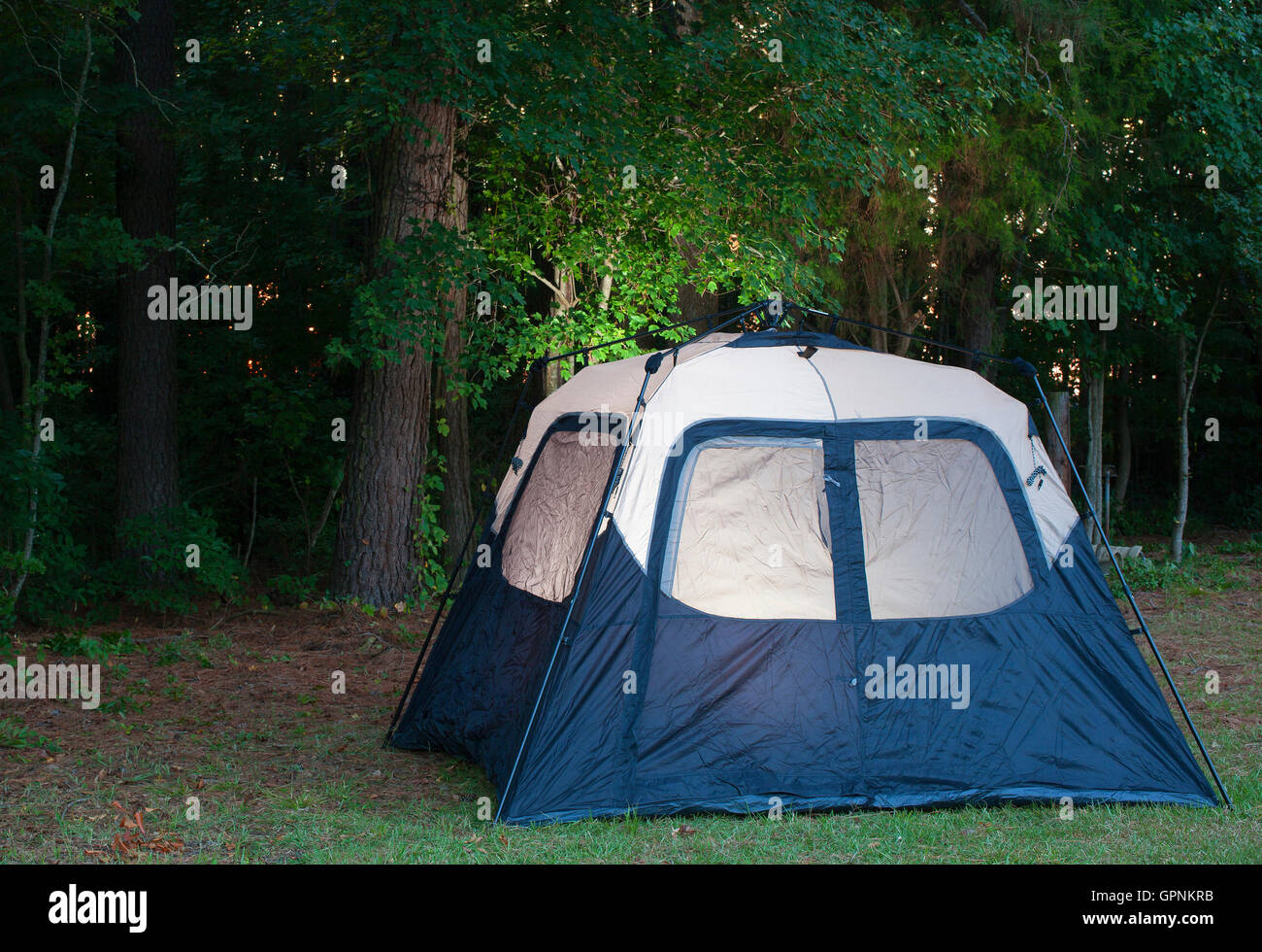 Blue and white tent with a light on inside and toward the forest Stock ...