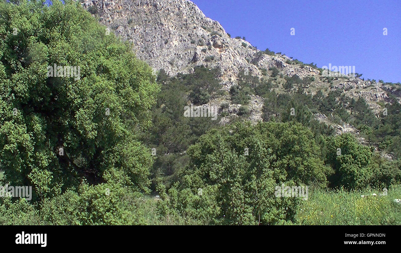 Didyma - Temple of Apollo, Turkey Stock Photo - Alamy