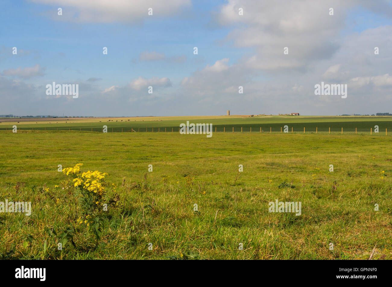 Rural farming landscape uk hi-res stock photography and images - Alamy