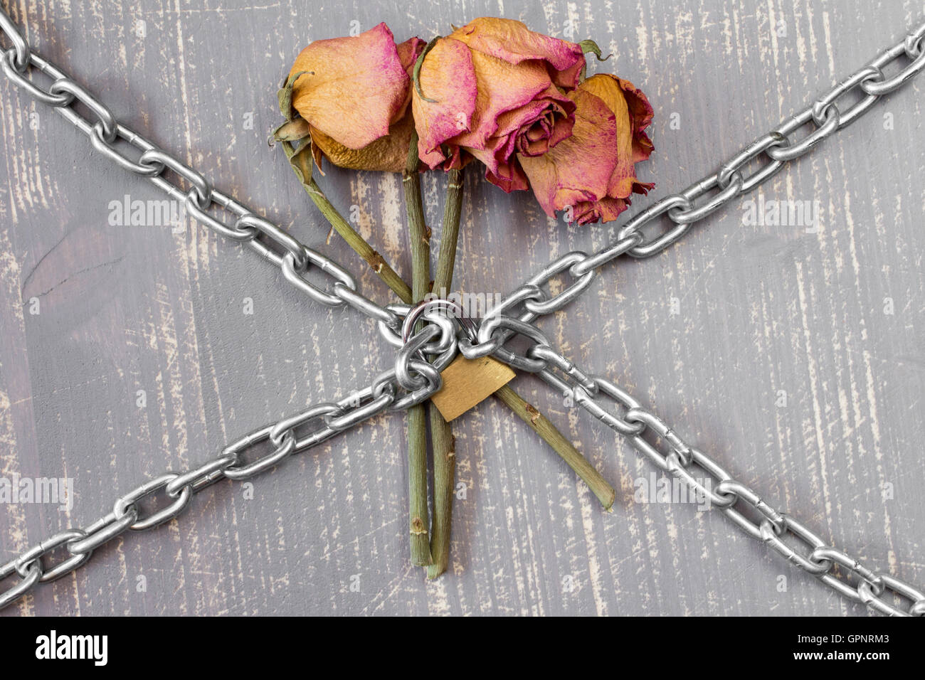 Three old chained roses symbolize endless love Stock Photo - Alamy