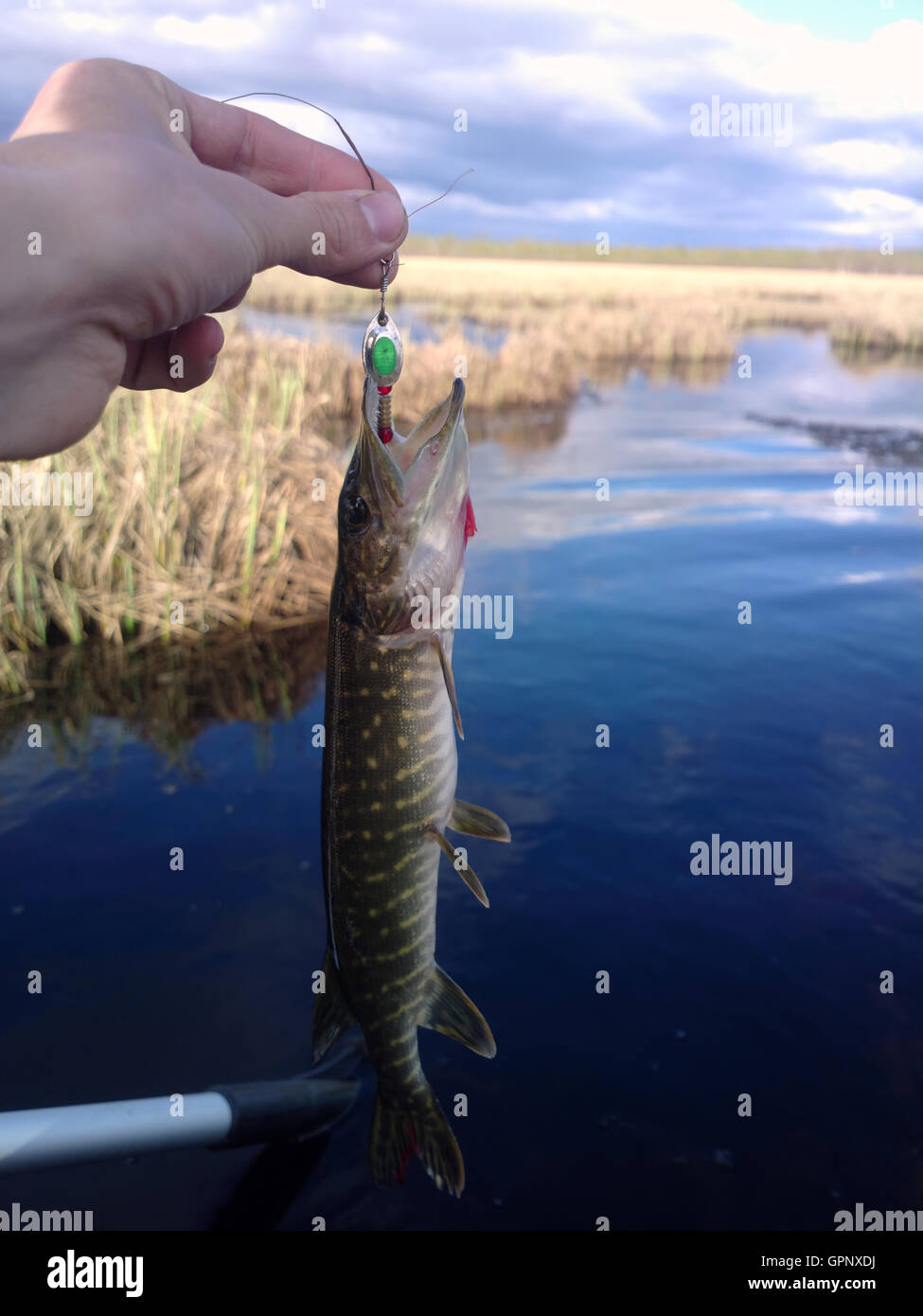 Warm shallow water hi-res stock photography and images - Alamy