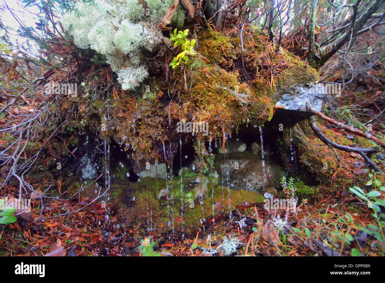 Microscopic waterfall. Streams of water flow down and bubbles are ...