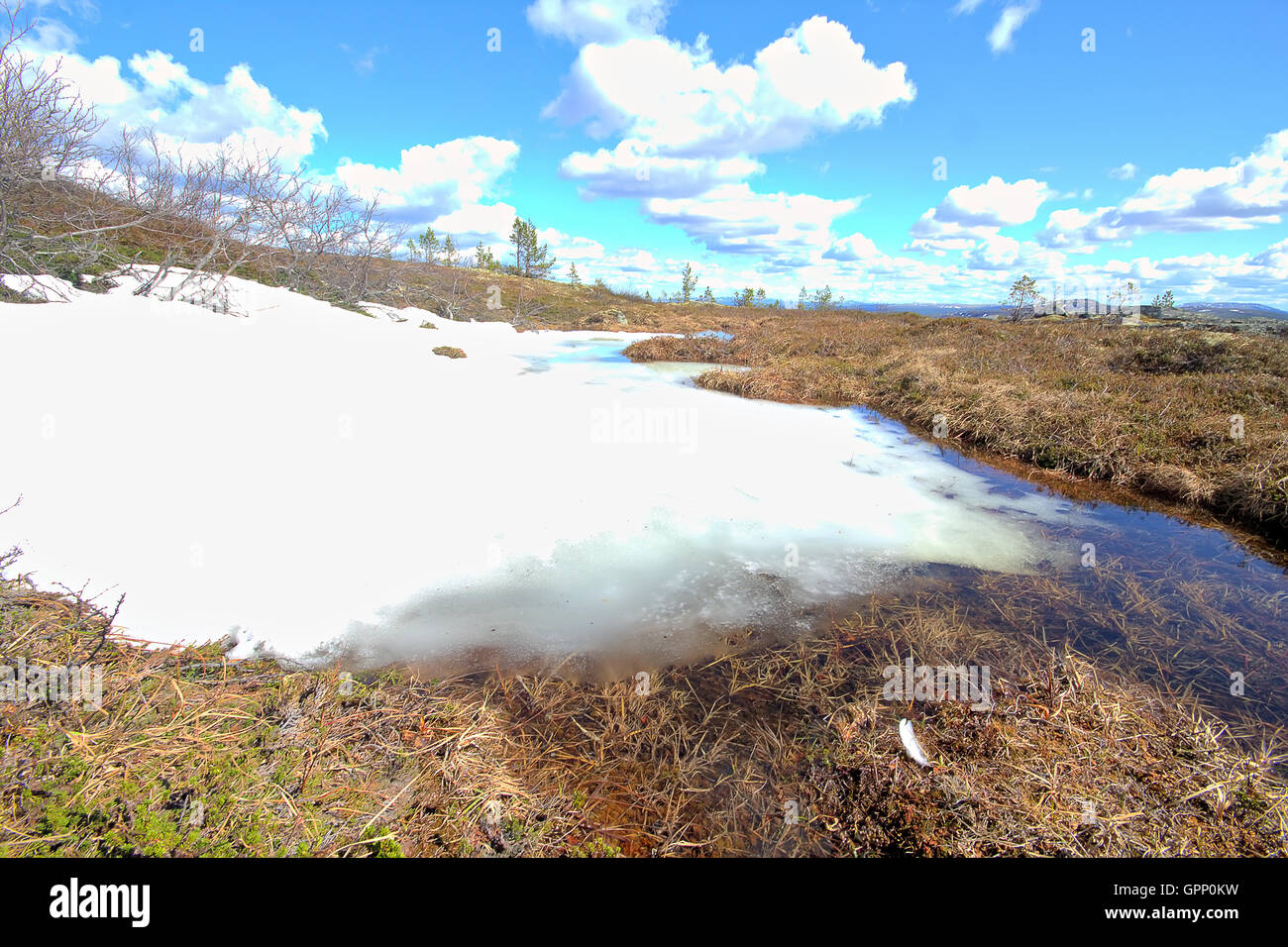 spring mountain polar tundra snow melting Stock Photo - Alamy