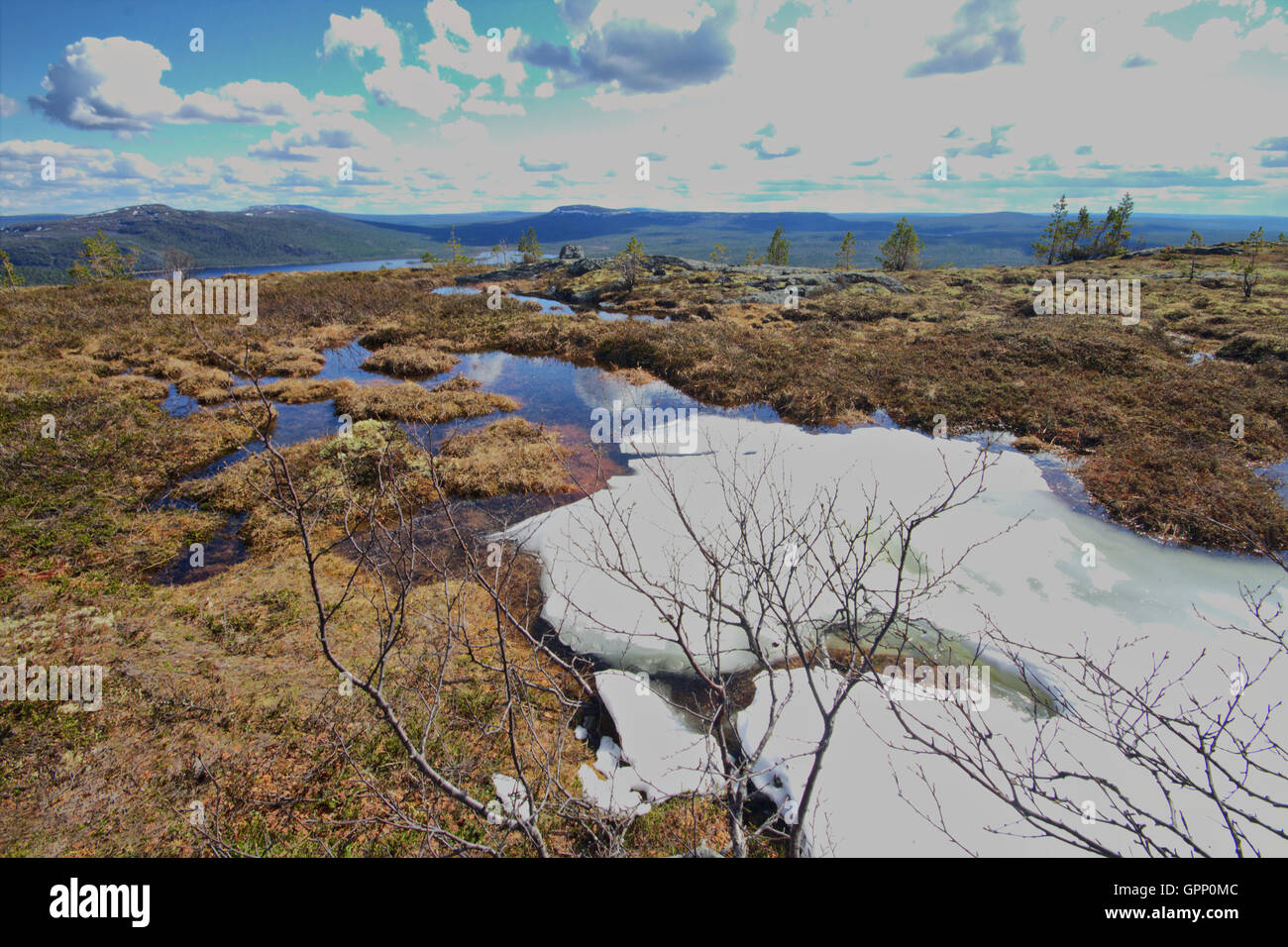 spring mountain polar tundra snow melting Stock Photo - Alamy
