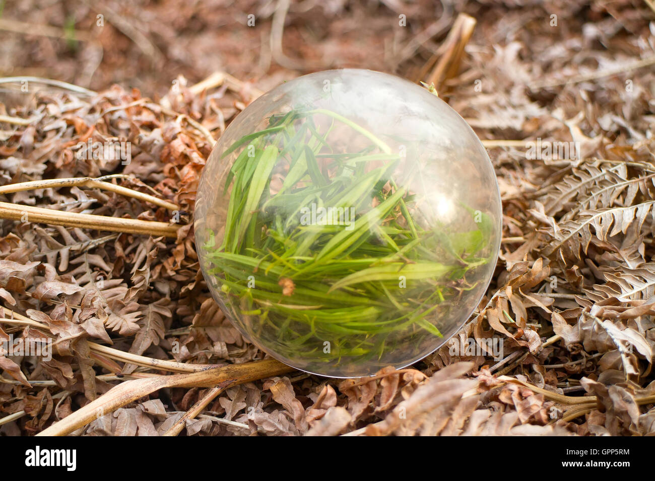 concept of weather coming of spring season Stock Photo - Alamy