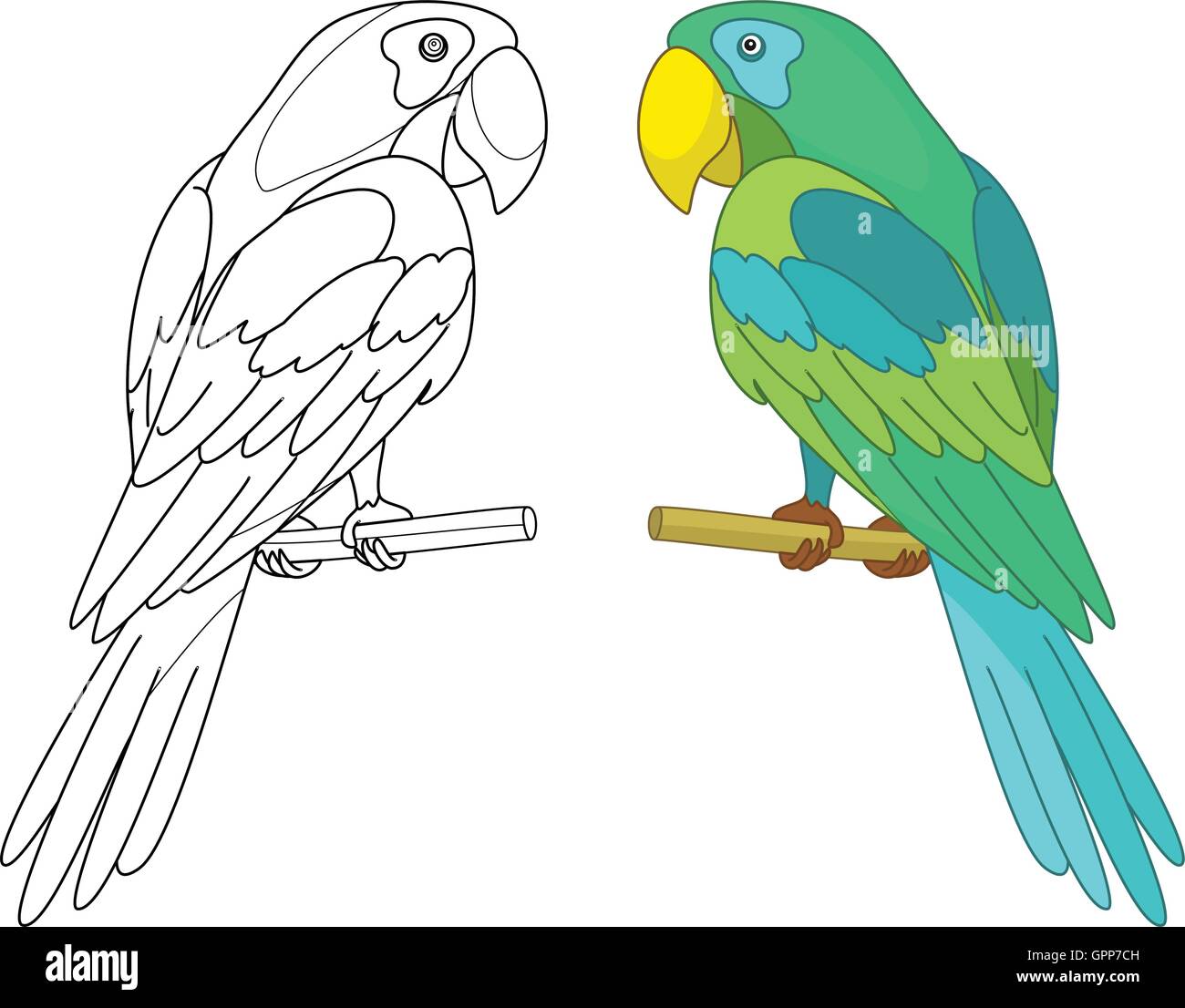 Two parrot Stock Vector Images - Alamy