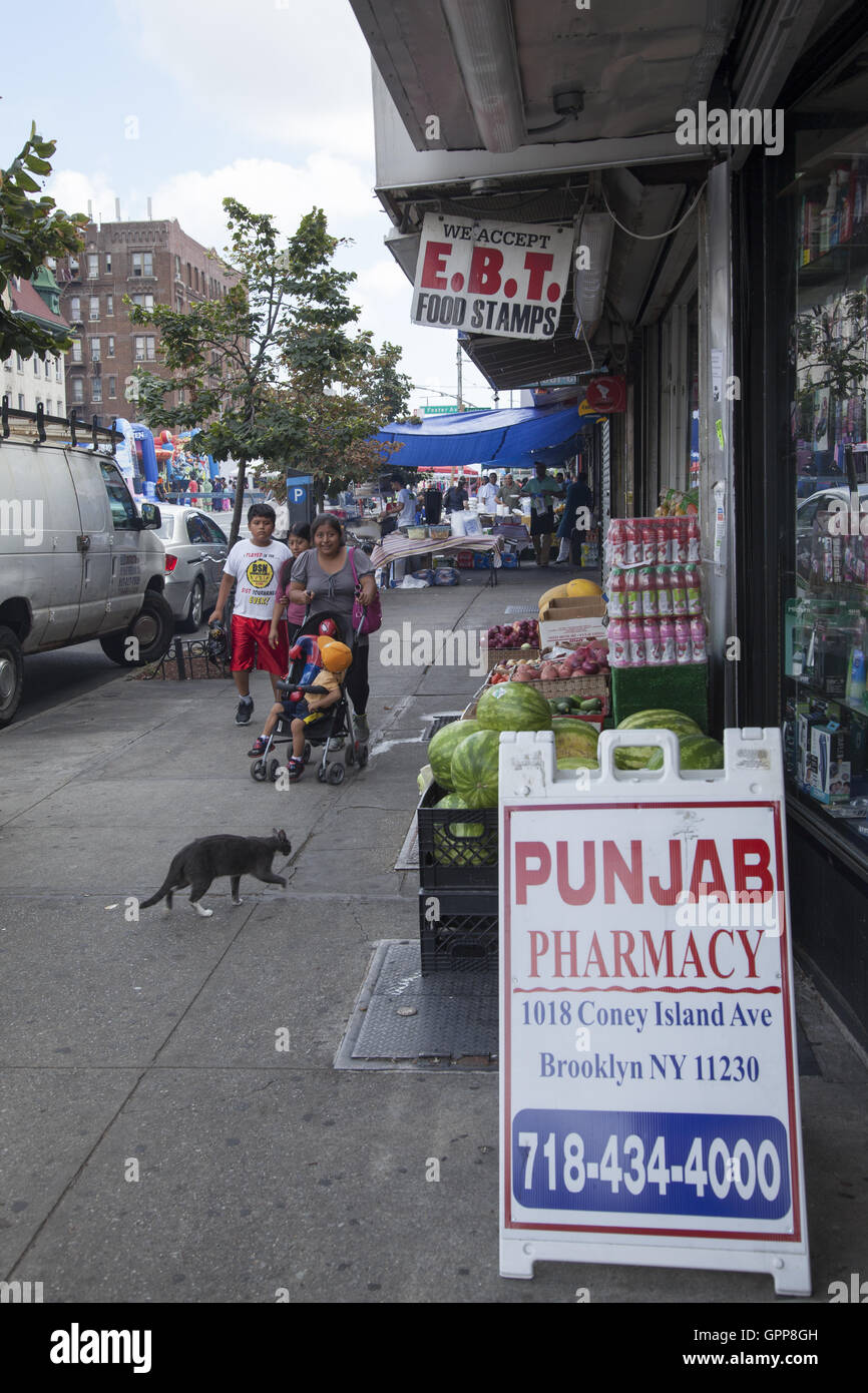Pakistani neighborhood along Coney Island Avenue in the Flatbush ...