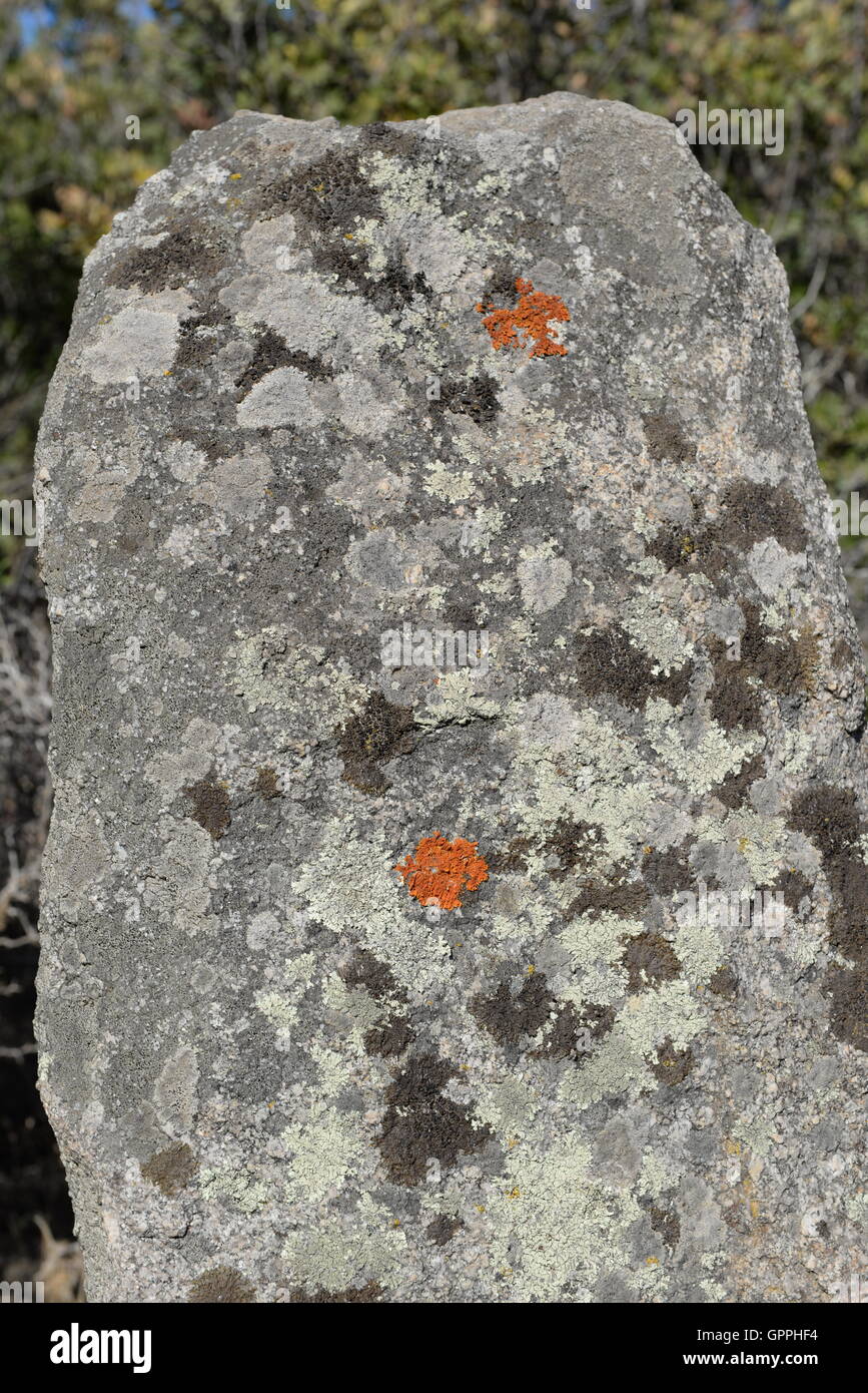 August 12th, 2016 - Costa Rei Granit Menhirs in Costa Rei Stock Photo ...