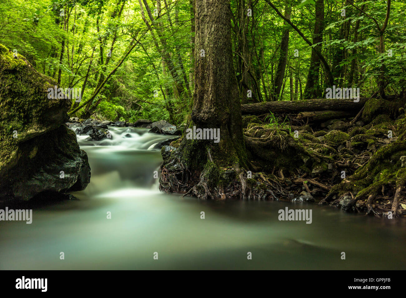 River in France Stock Photo - Alamy