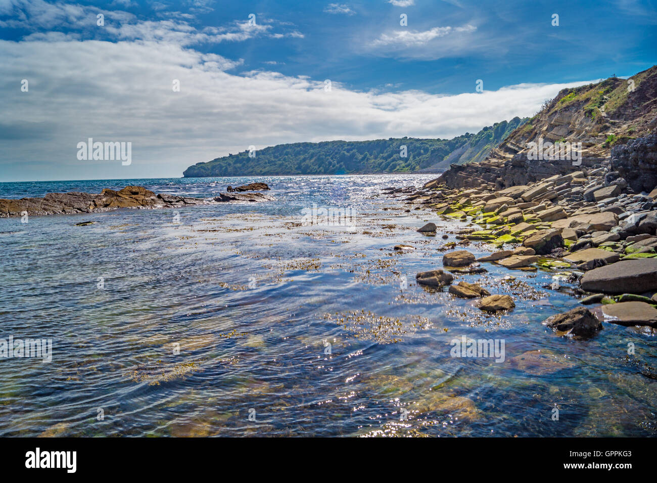 A vibrant colourful view along a Dorset,England coastal scene. Seaweed ...