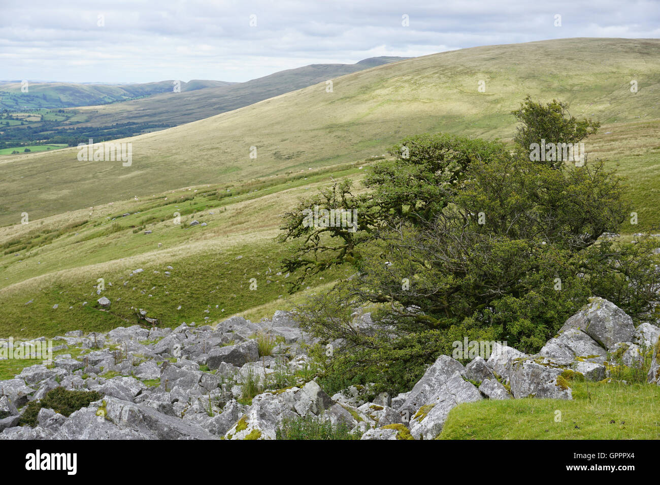 Brynamman hi-res stock photography and images - Alamy