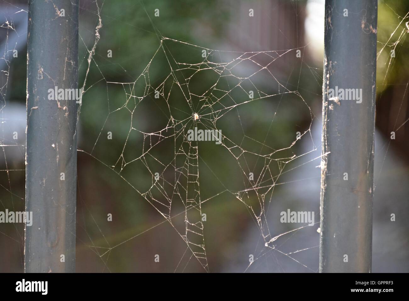 A spider web reflecting in the sunlight with an old factory in the ...