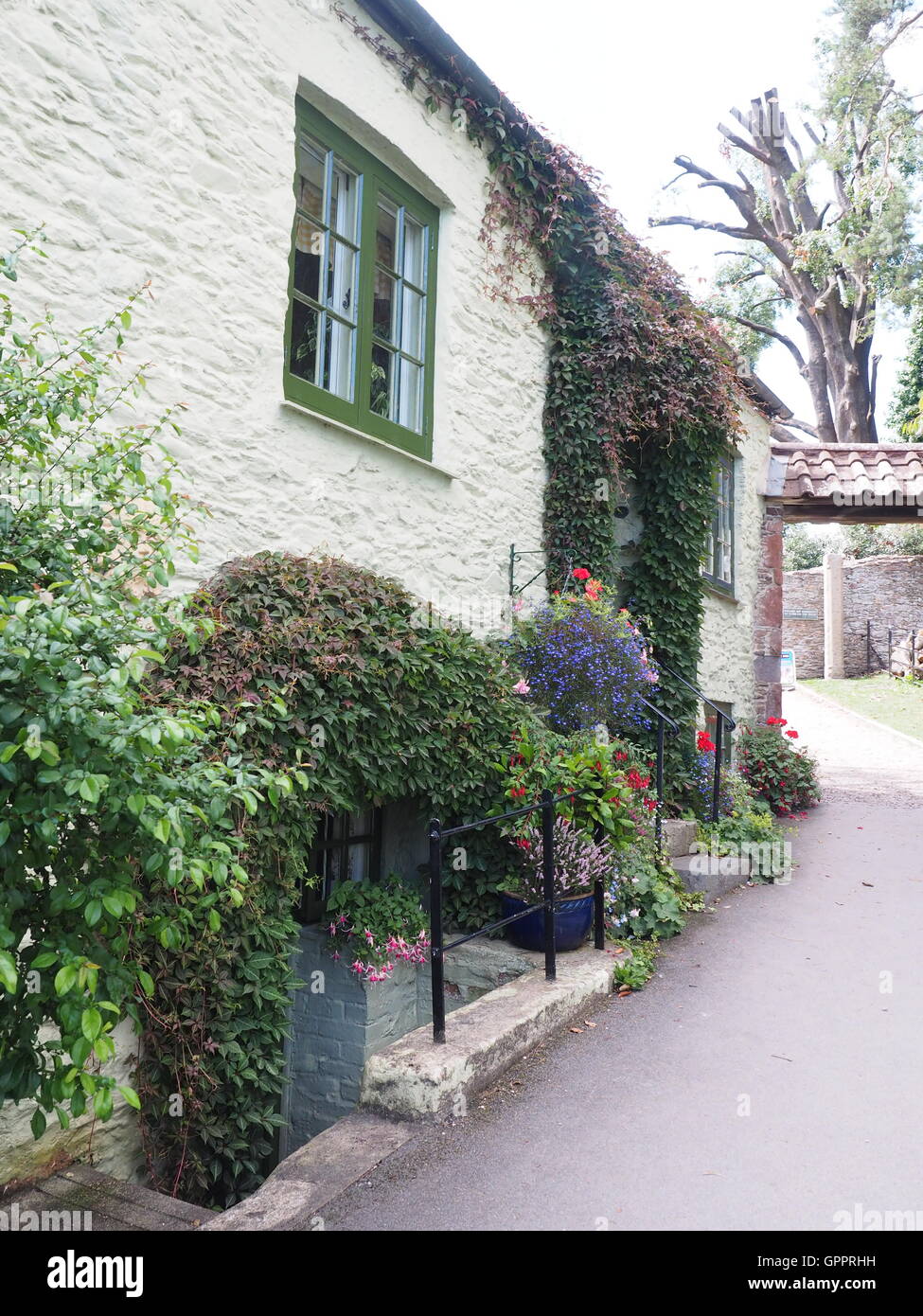 Traditional English Cottage Devon England with flowers round the door ...