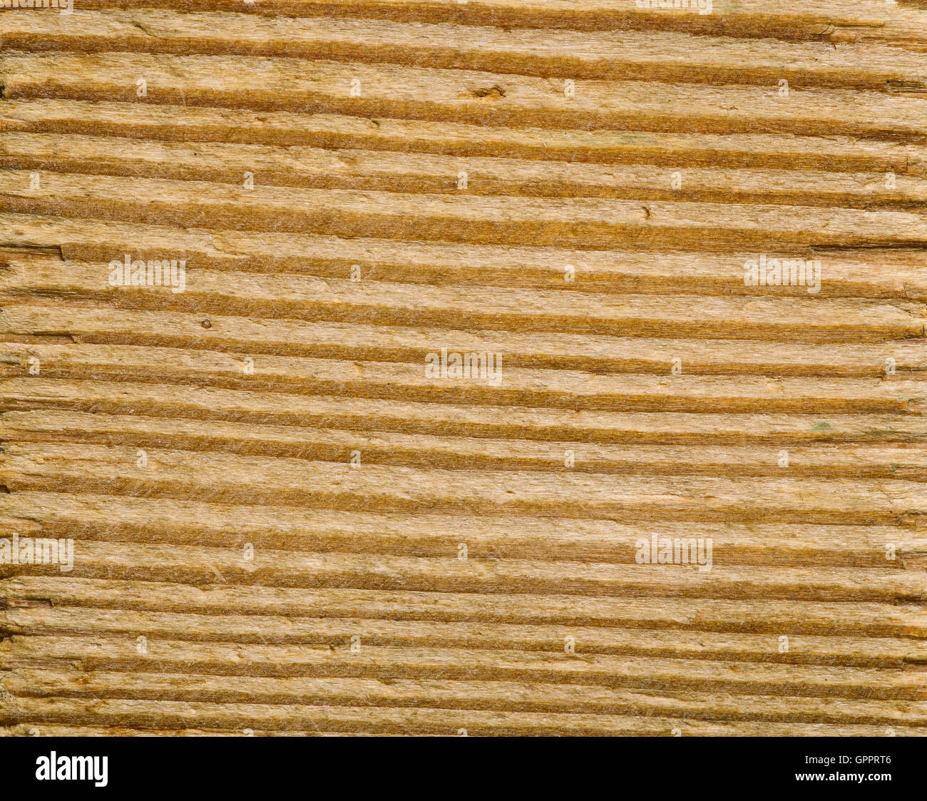 Abstract wooden macro background. Slice of wood timber natural Stock ...