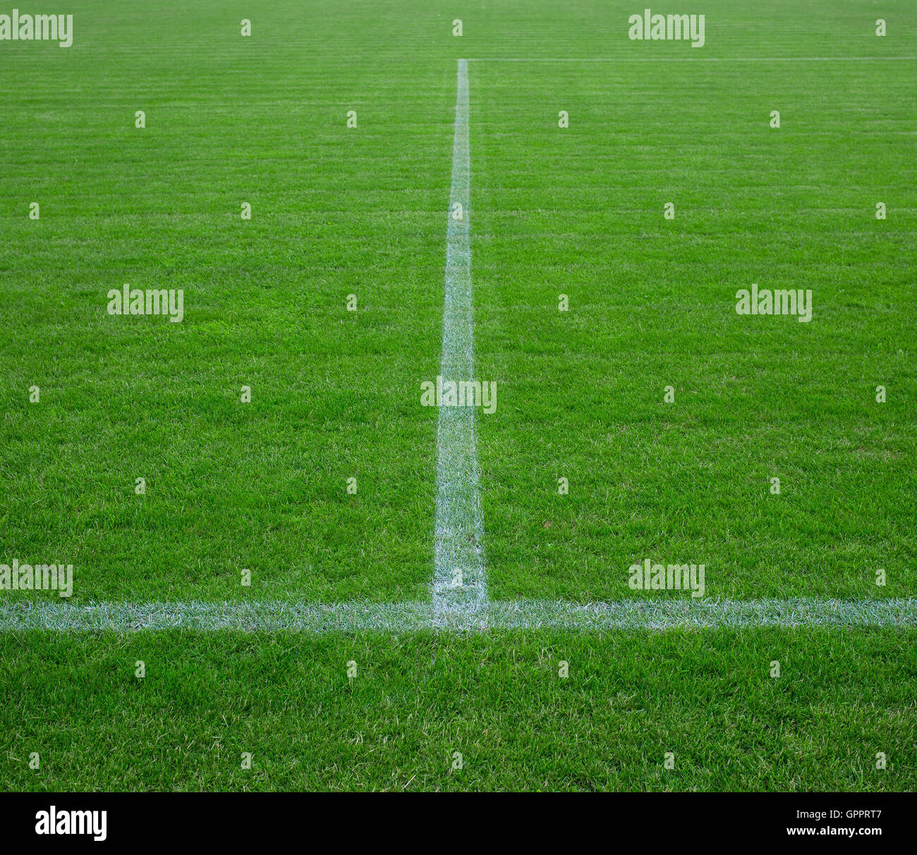 Part of soccer field with horizontal and vertical lines Stock Photo - Alamy