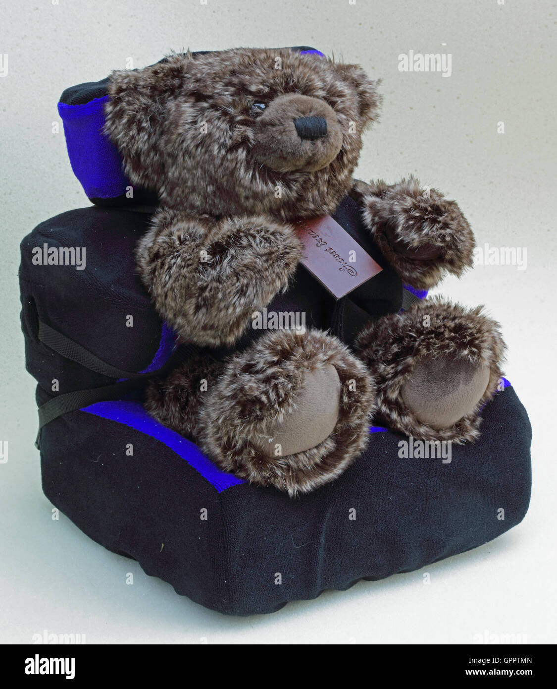 A cuddly Brown Teddy Bear sat and safely strapped and secured in a ...