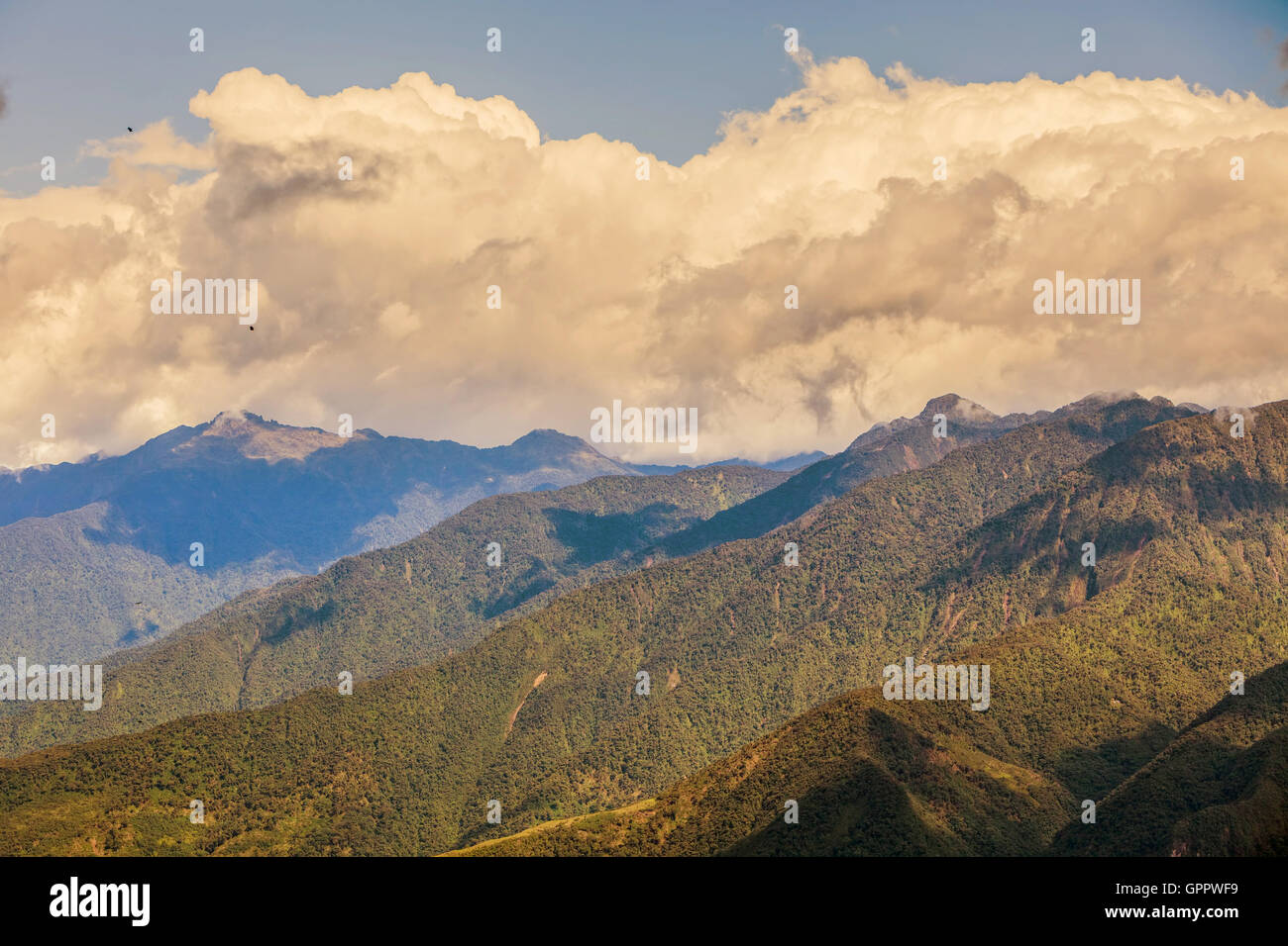 Andean Highland Landscape, Ecuador, South America Stock Photo - Alamy