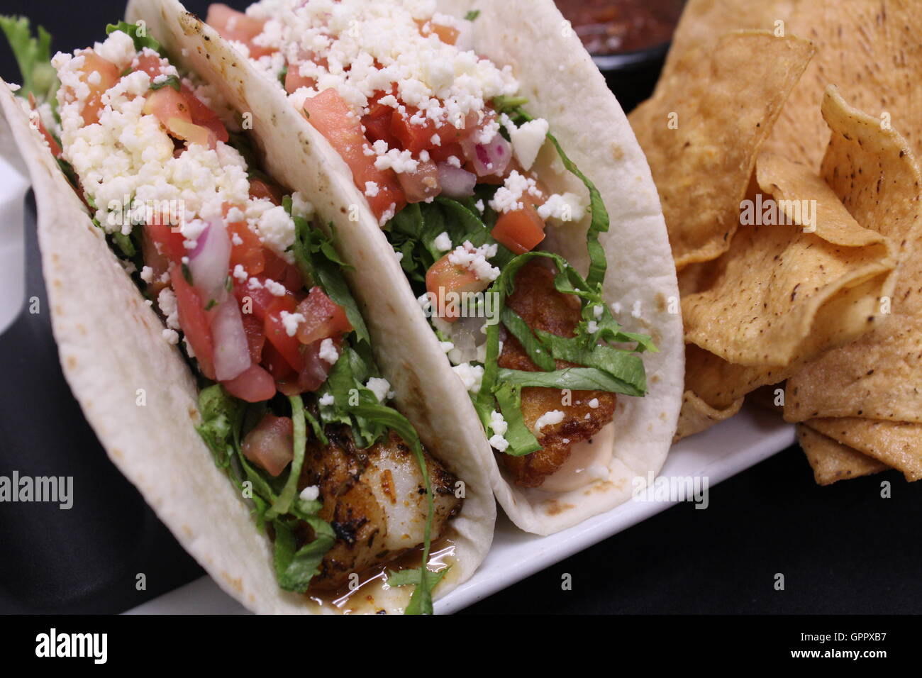 Gallo fish hi-res stock photography and images - Alamy