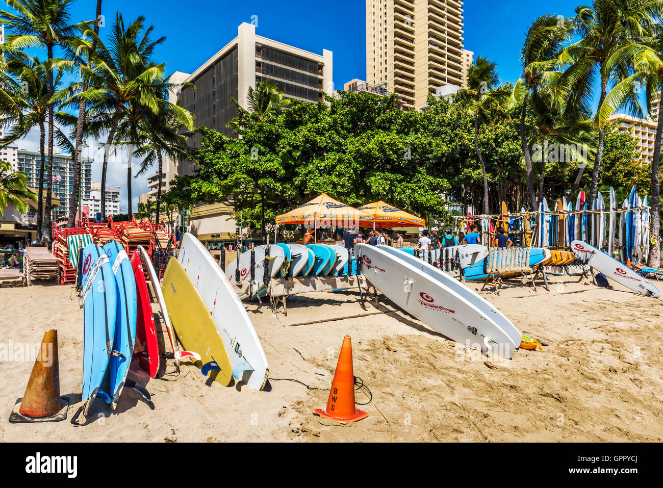 Photo Equipment Rental Honolulu at Mason Duckworth blog