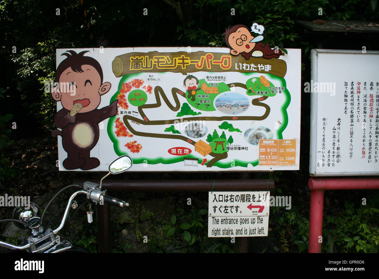 Monkey picture hi-res stock photography and images - Alamy