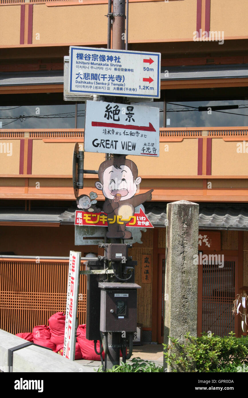 Monkey picture hi-res stock photography and images - Alamy