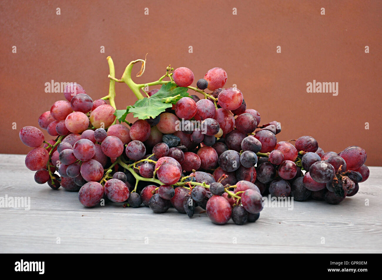 Isolated grape clusters hi-res stock photography and images - Alamy