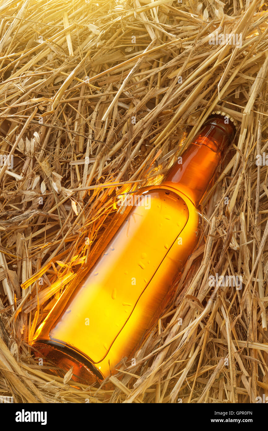 Beer bottle in the stack of hay Stock Photo - Alamy