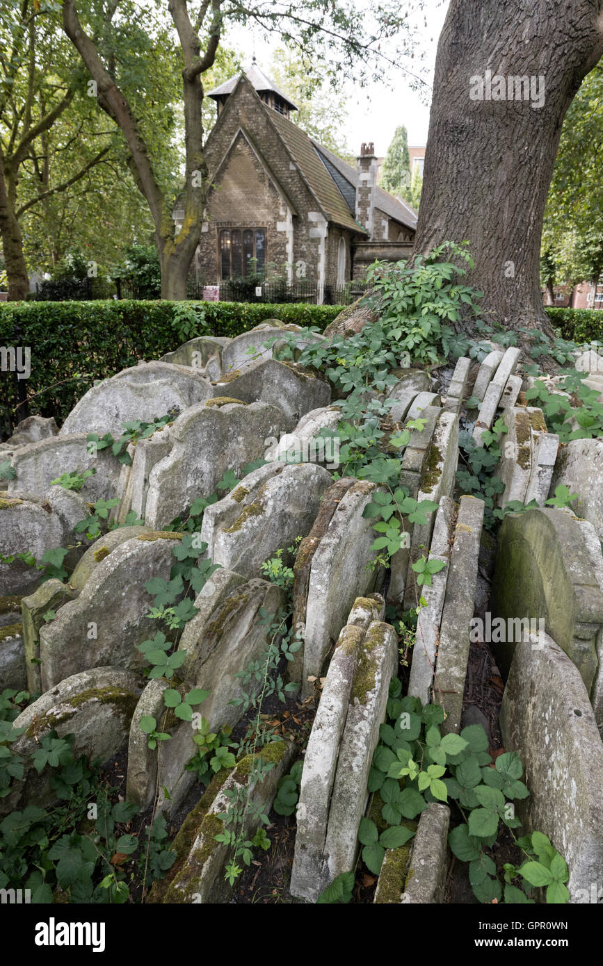The Hardy Tree, St Pancras Old Church, Camden, London, UK Stock Photo ...