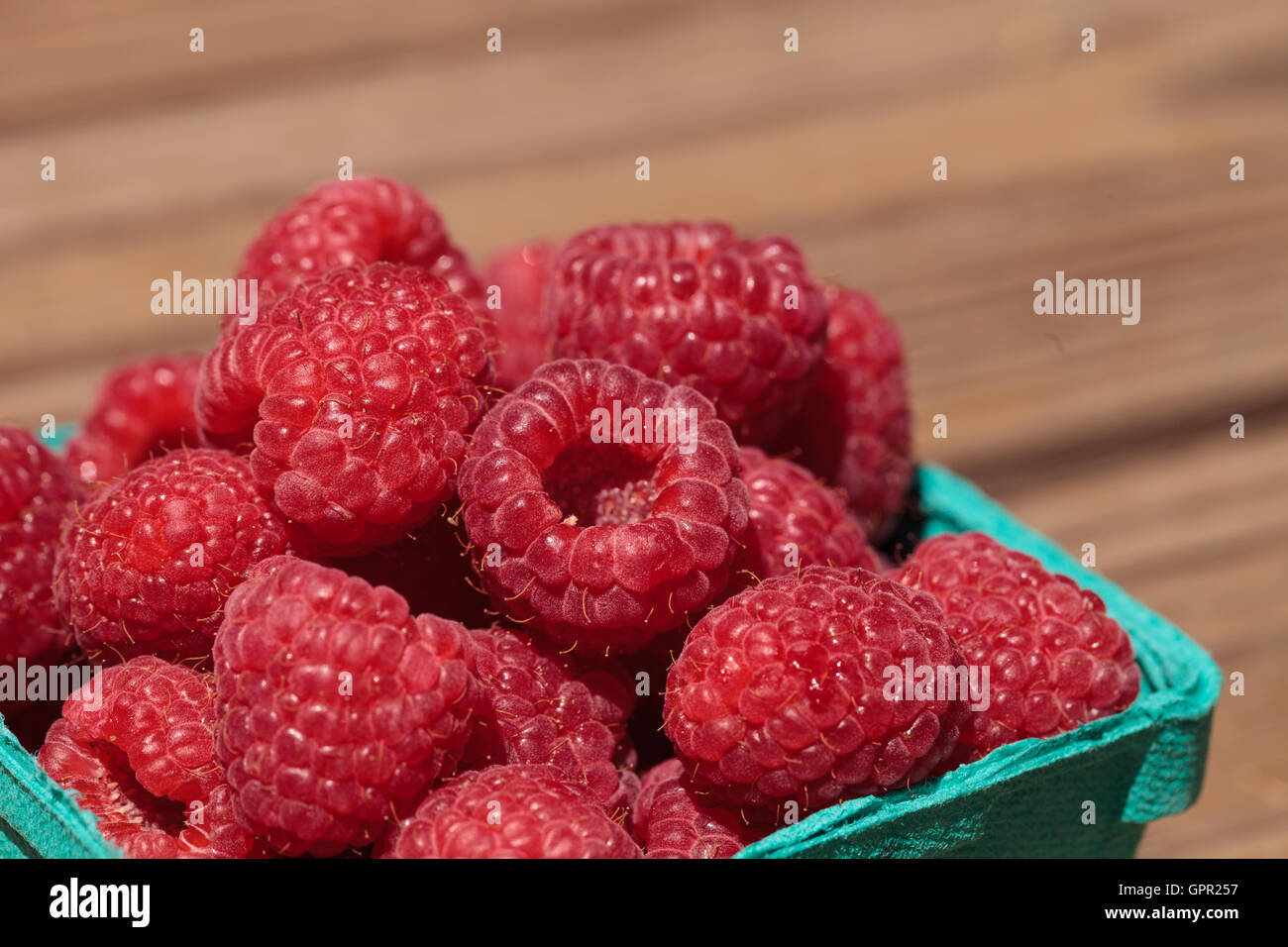 Organic red raspberries in a green basket fresh from the farmers market ...