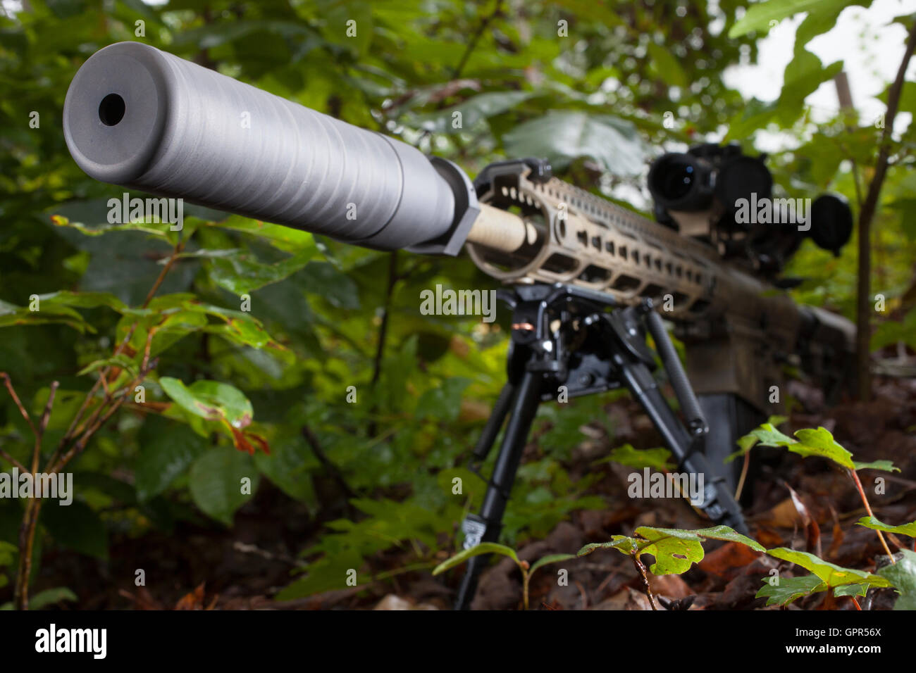Semi automatic rifle with a suppressor in the trees Stock Photo - Alamy
