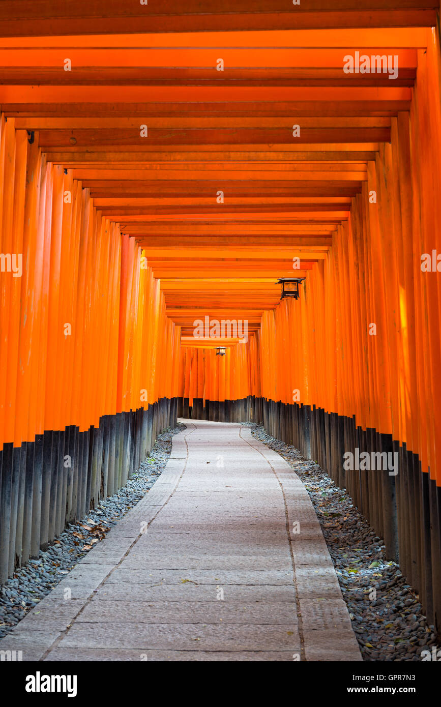 Fushimi Inari Taisha Shrine torii gates in Kyoto, Japan Stock Photo - Alamy