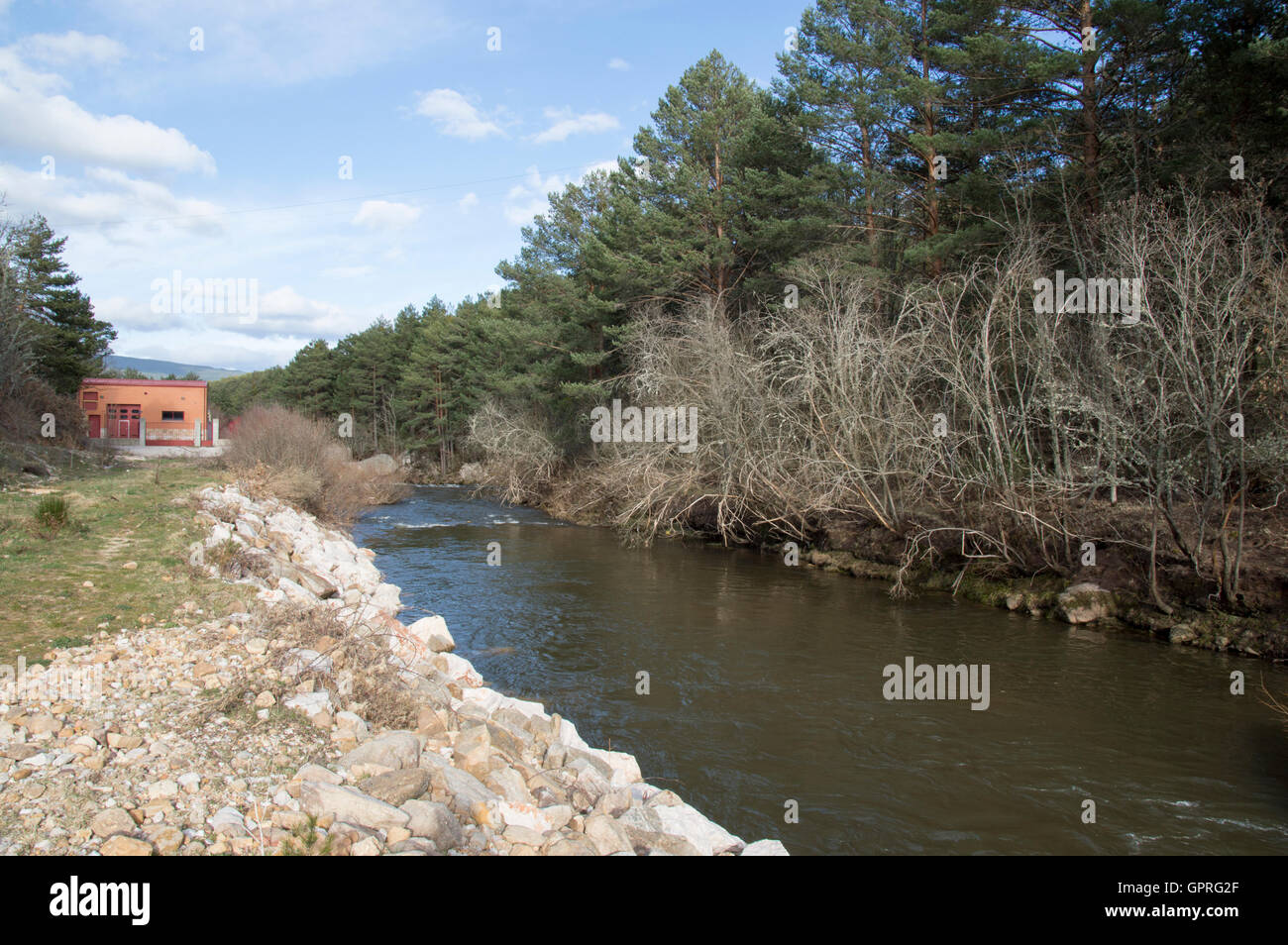 Comarca de pinares hi-res stock photography and images - Alamy