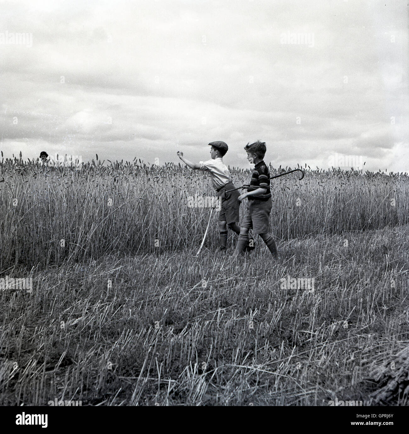1930s, historical, two young farm boys with walking sticks on a newly ...
