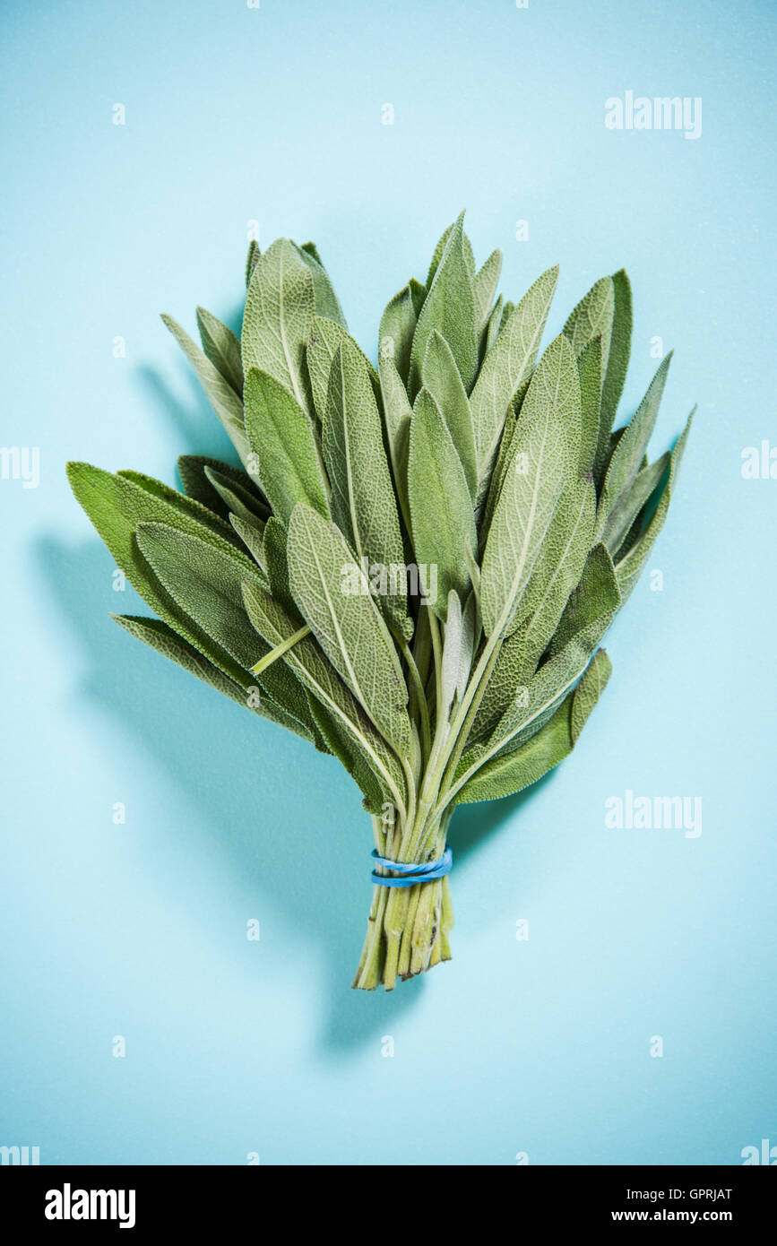 Sage bunch hi-res stock photography and images - Alamy