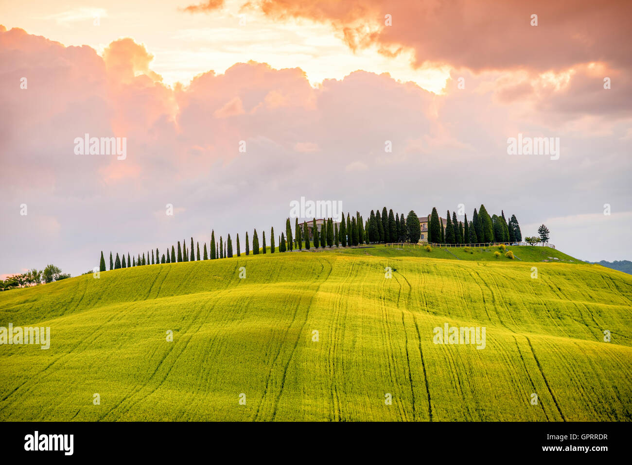Beautiful tuscan landscape view Stock Photo - Alamy