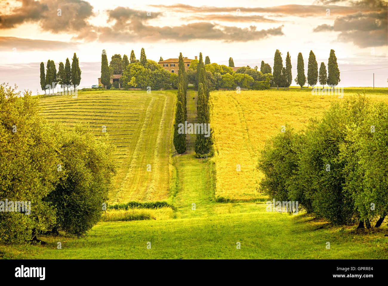Beautiful tuscan landscape view Stock Photo - Alamy