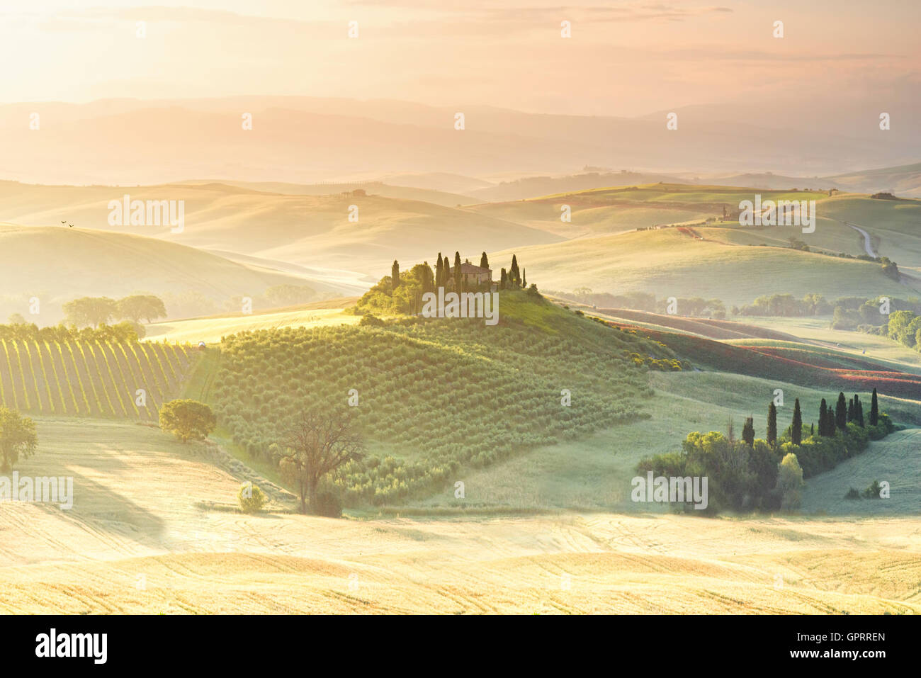 Beautiful tuscan landscape view Stock Photo - Alamy