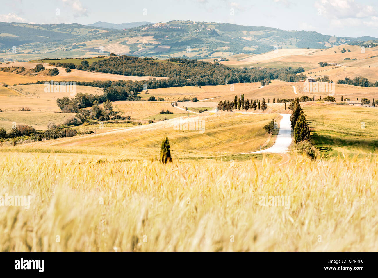 Beautiful tuscan landscape view Stock Photo - Alamy