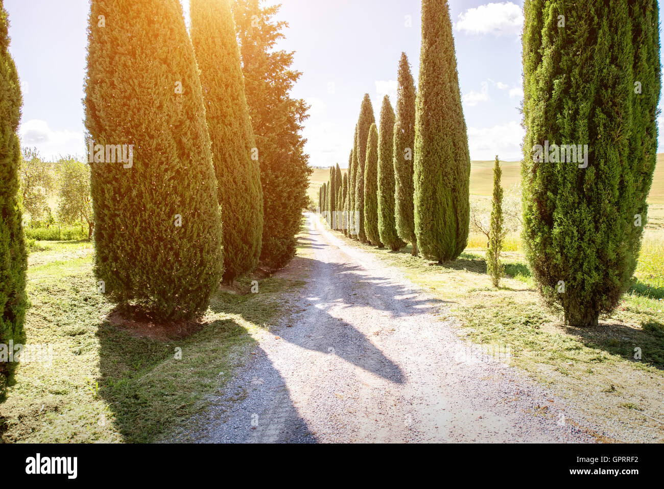Beautiful tuscan landscape view Stock Photo - Alamy