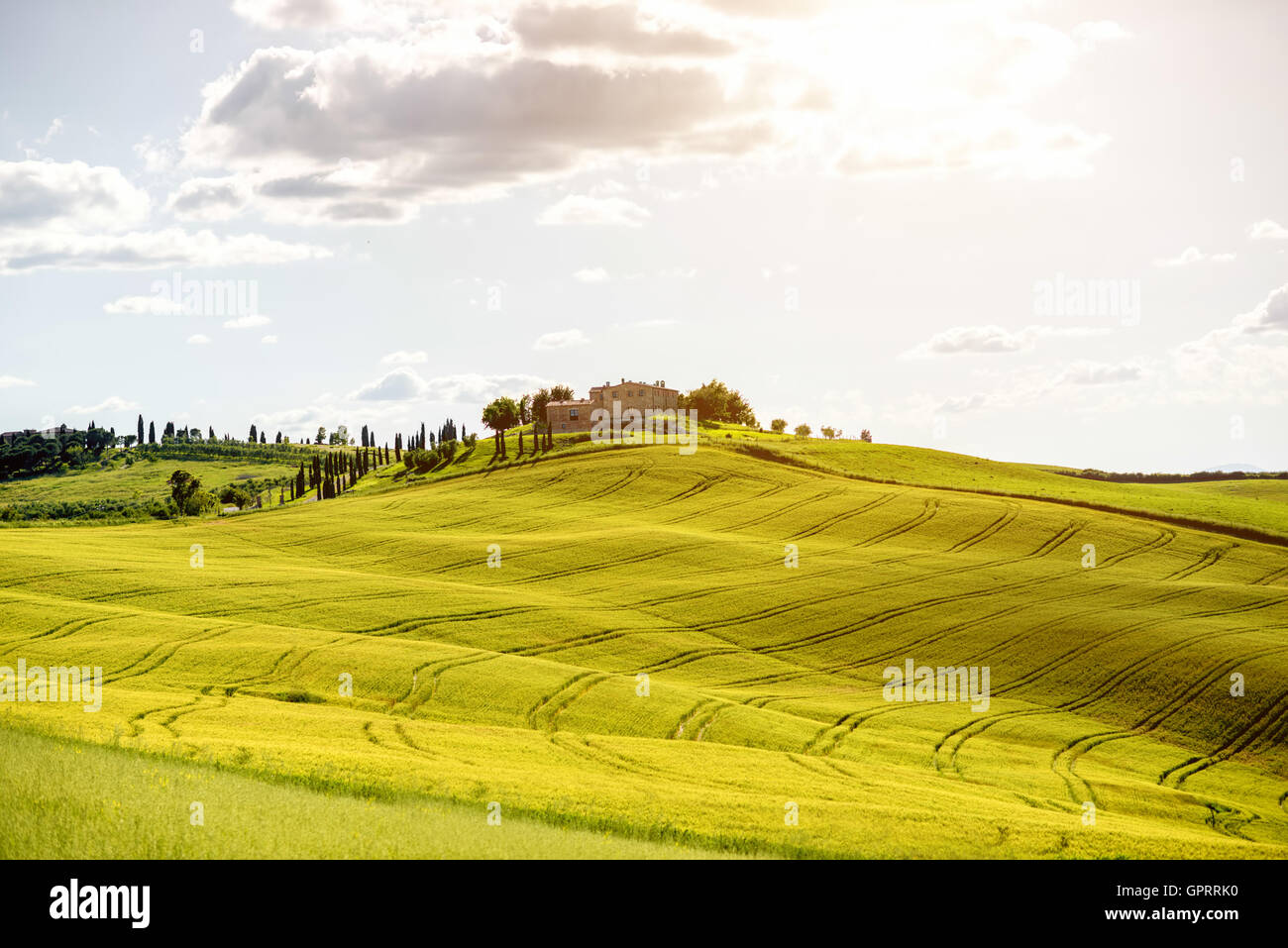 Beautiful tuscan landscape view Stock Photo - Alamy