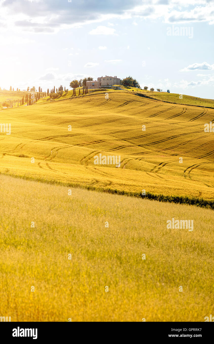 Beautiful tuscan landscape view Stock Photo - Alamy