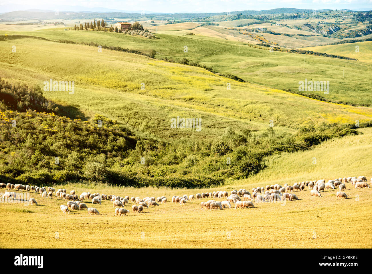 Beautiful tuscan landscape view Stock Photo - Alamy