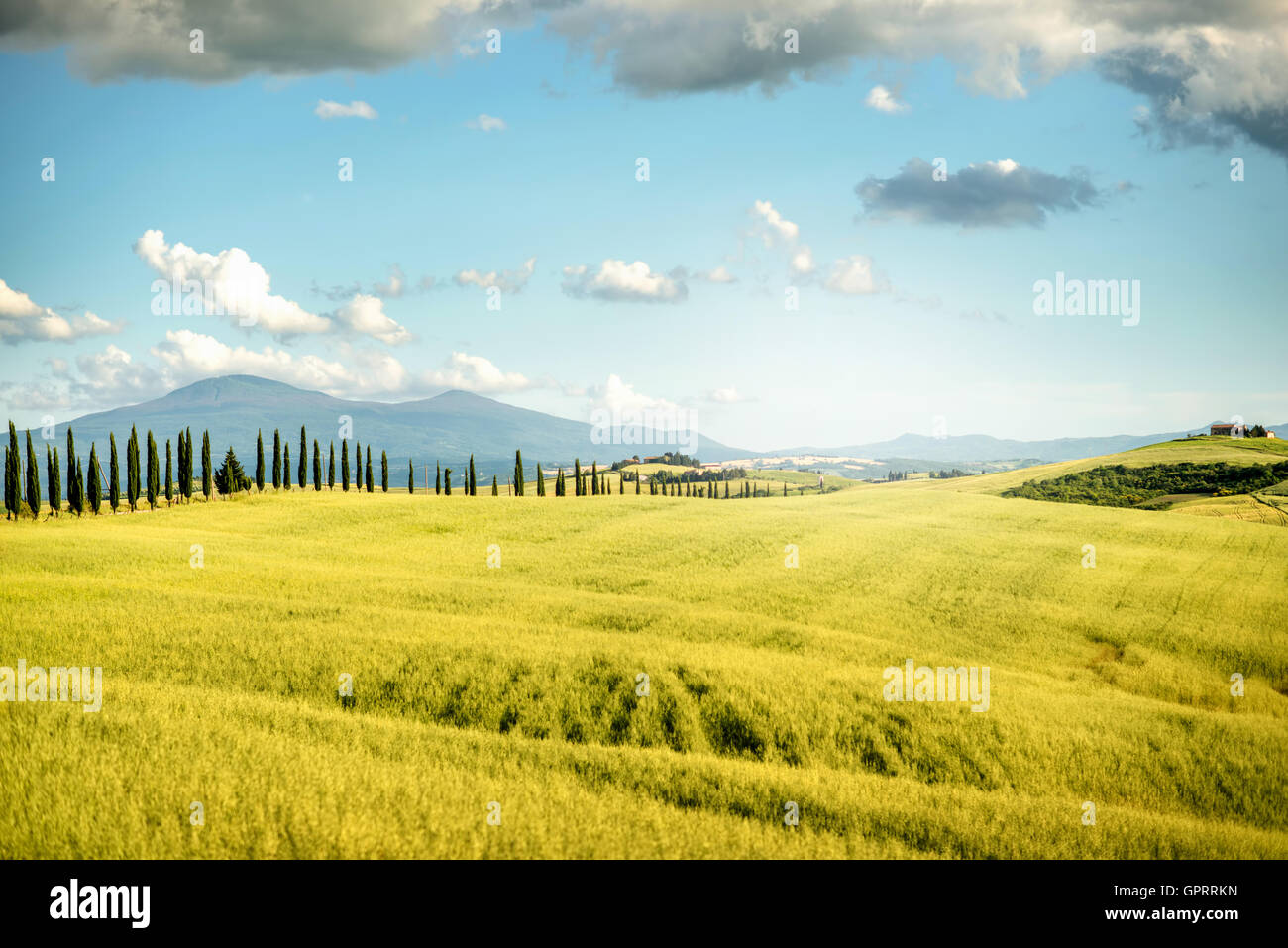 Beautiful tuscan landscape view Stock Photo - Alamy