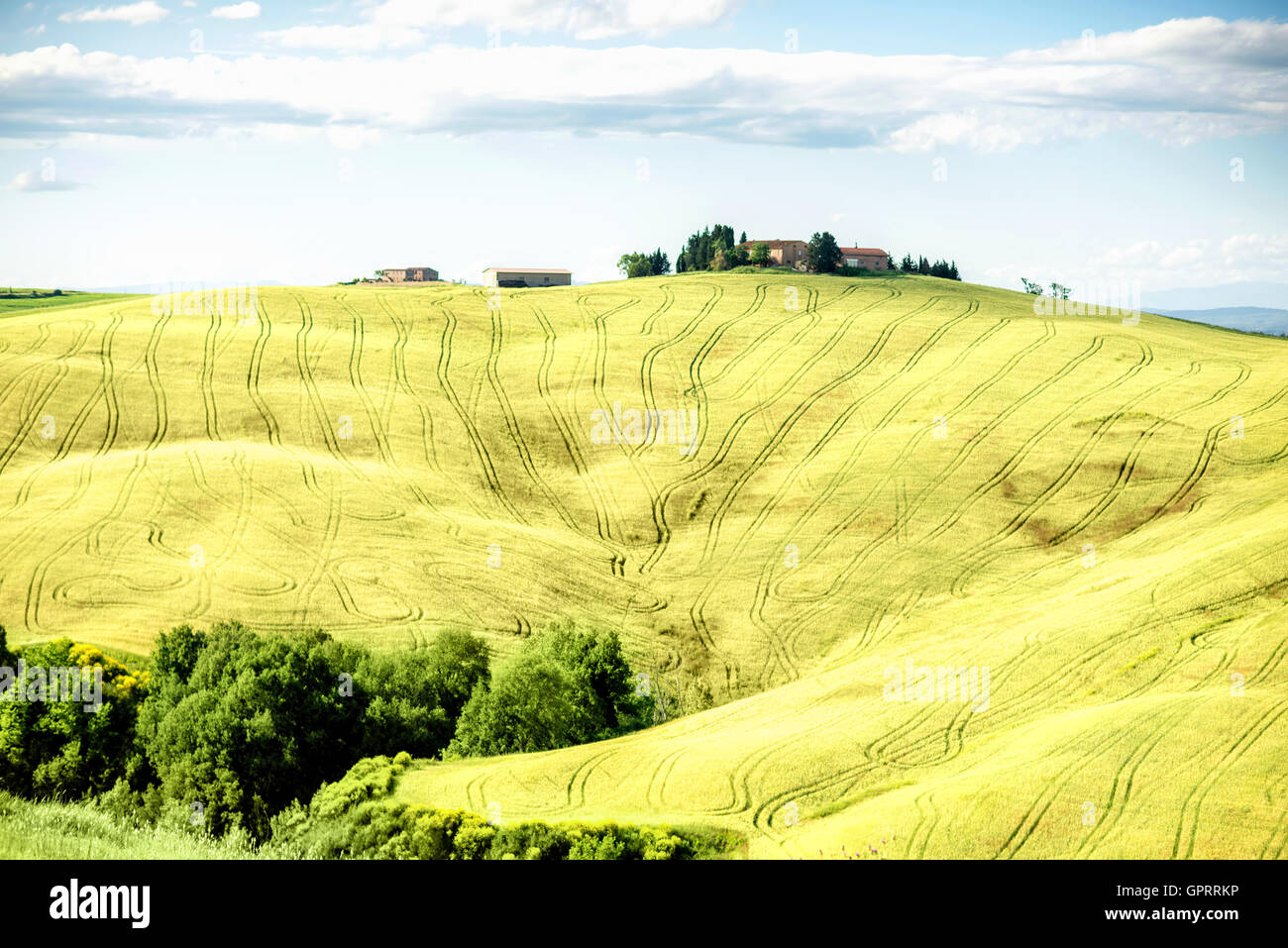 Beautiful tuscan landscape view Stock Photo - Alamy