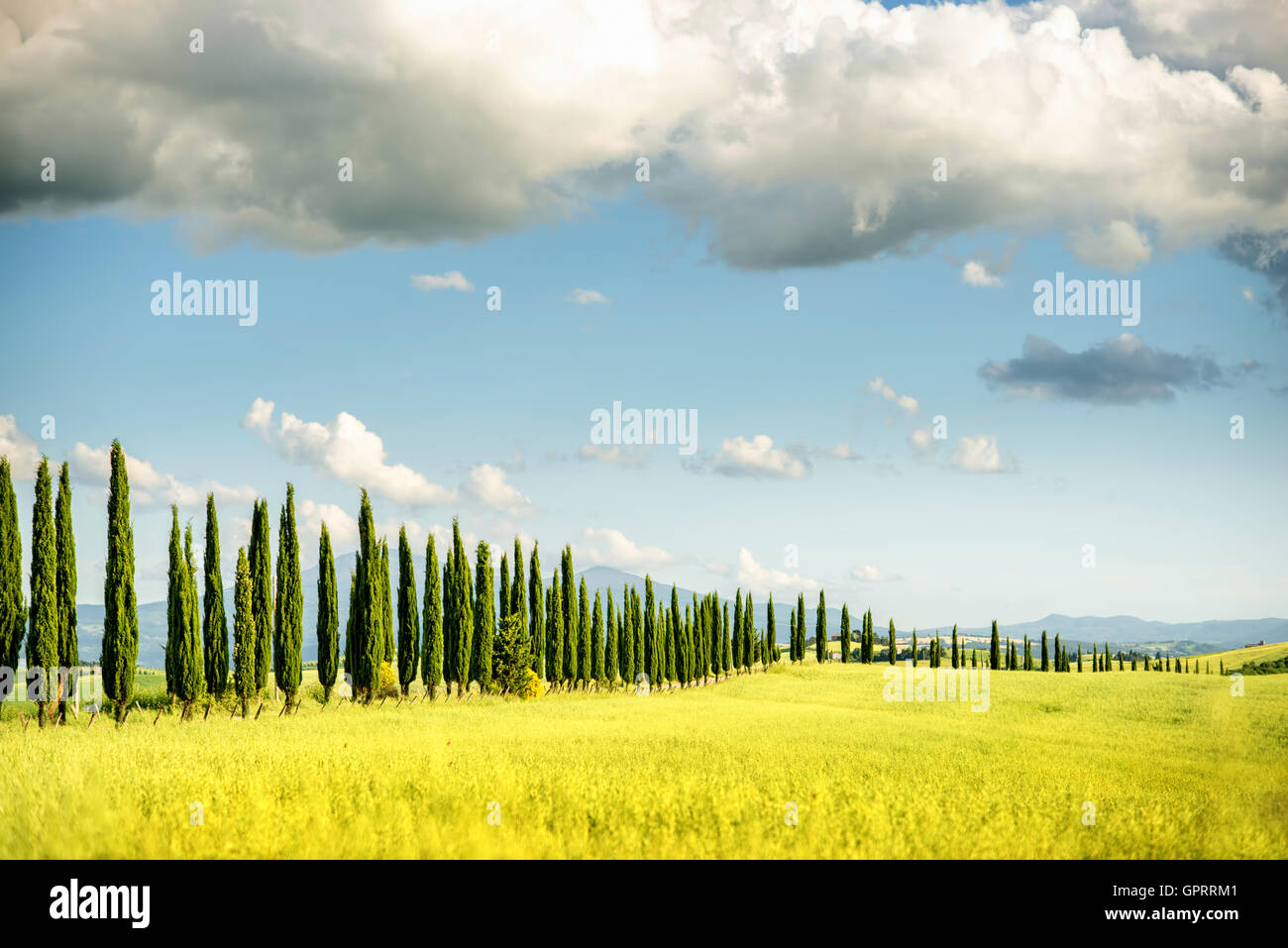 Beautiful tuscan landscape view Stock Photo - Alamy