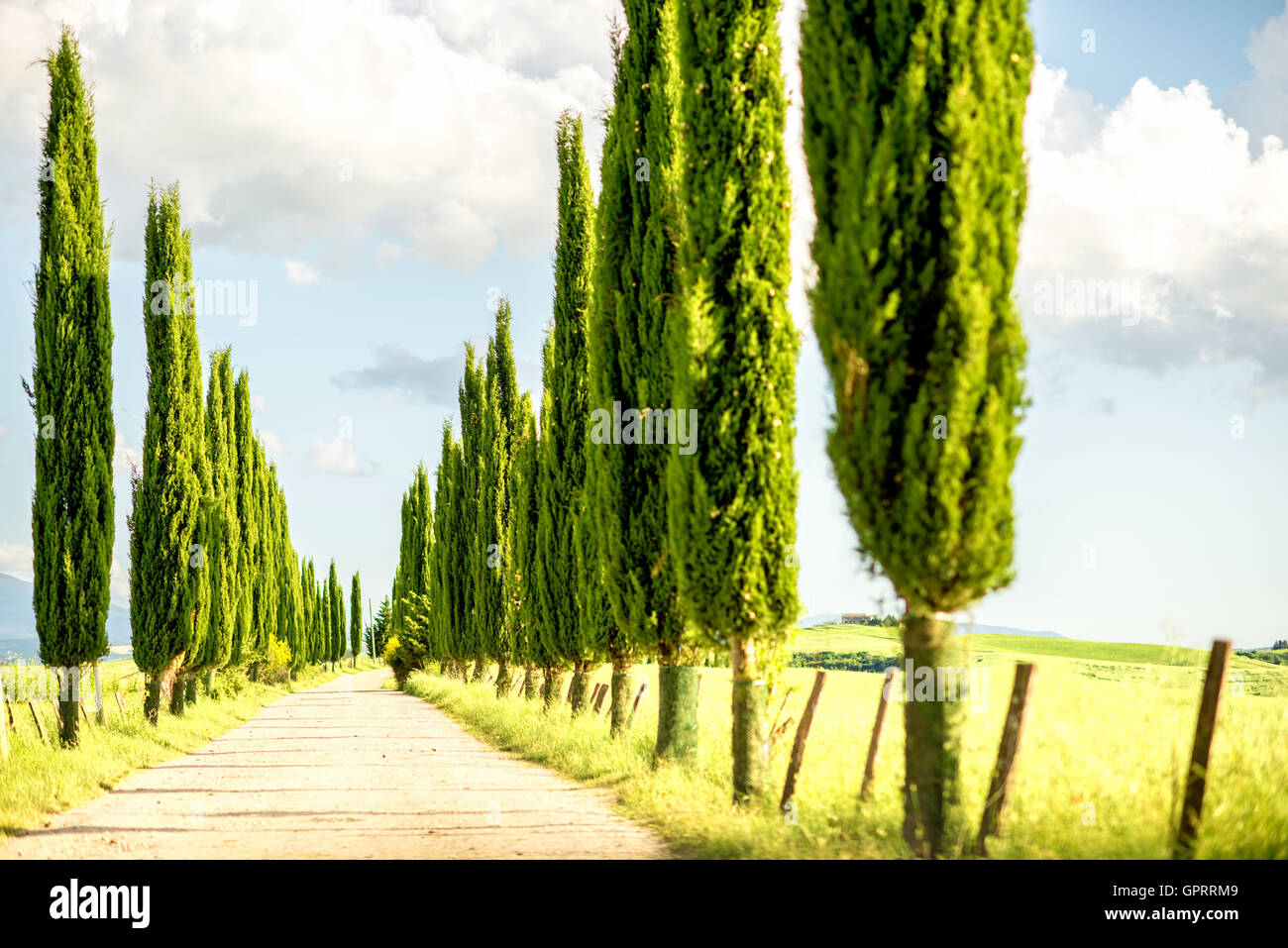 Beautiful tuscan landscape view Stock Photo - Alamy